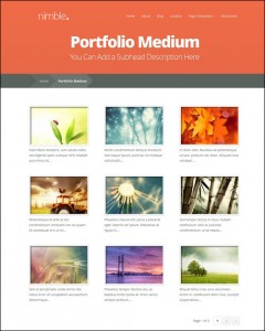 40+ Best Photography Website Templates For WordPress In 2017 | Tripwire ...